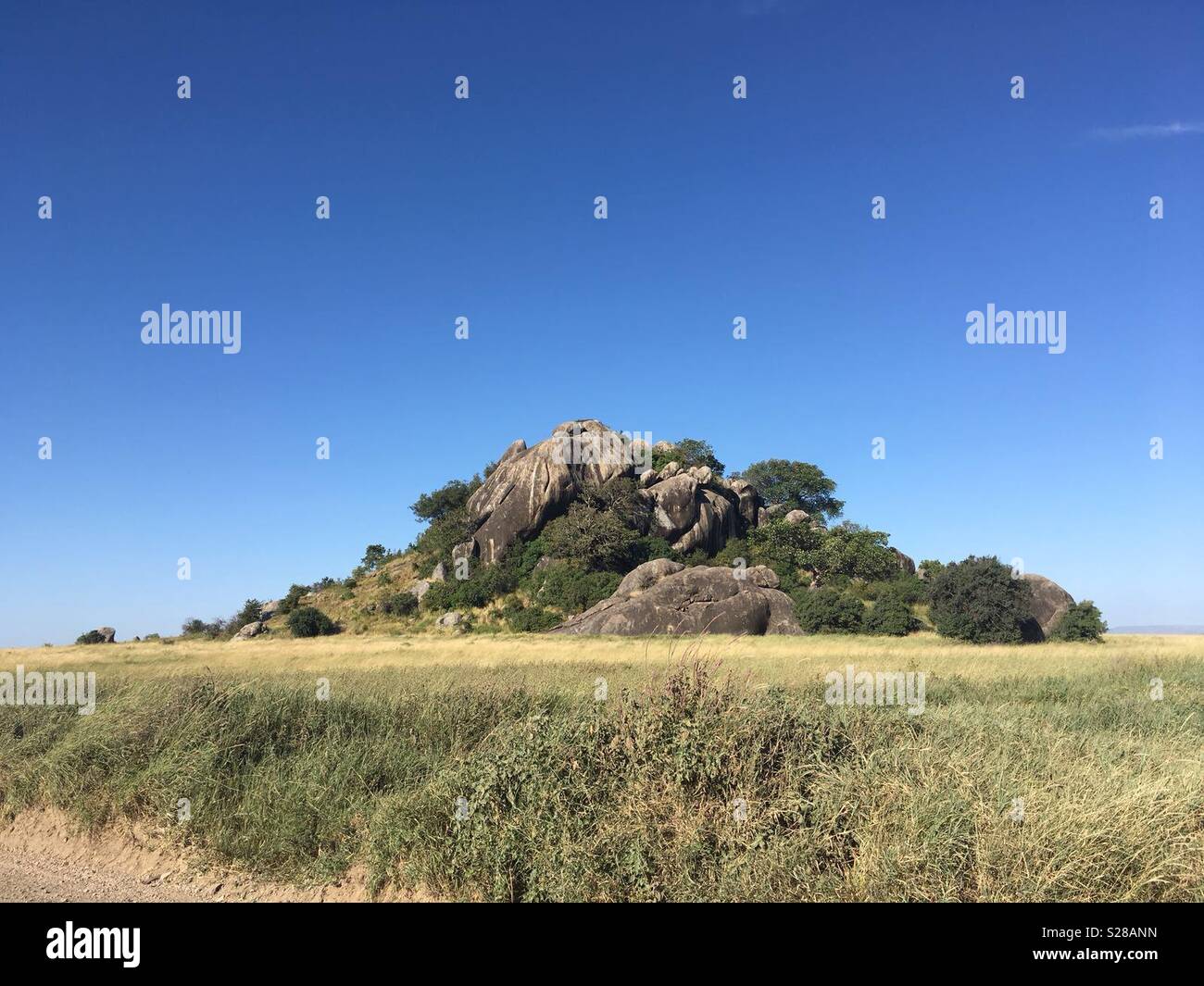 Lion Rock in Southern Serengeti Stock Photo - Alamy