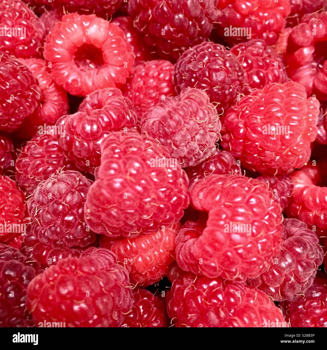 Fresh Raspberries fruits Stock Photo - Alamy