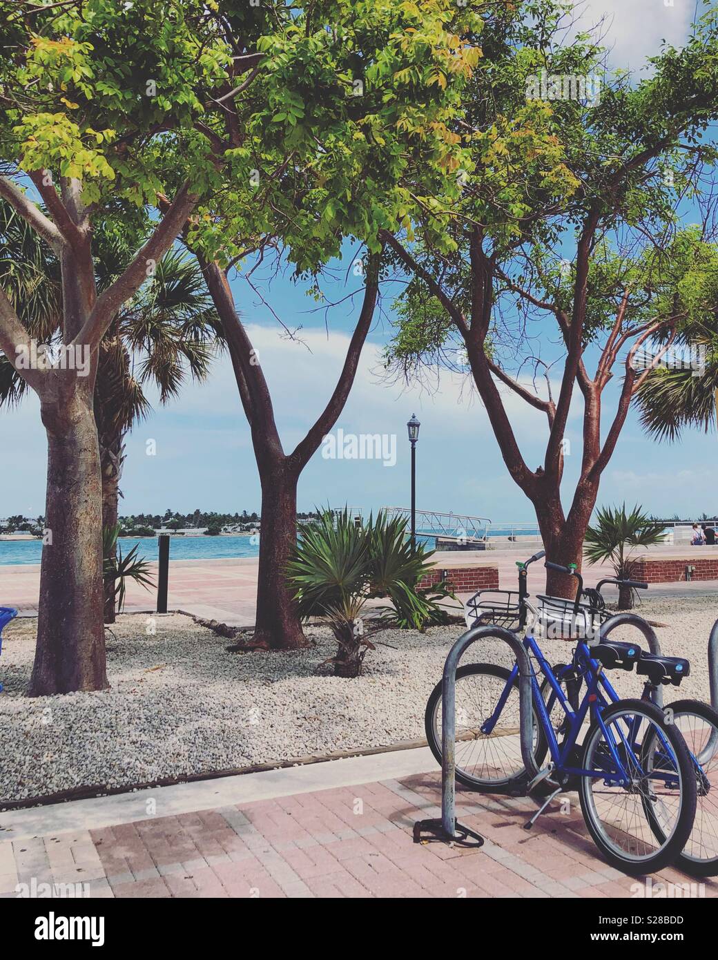Biking through Key West Stock Photo - Alamy