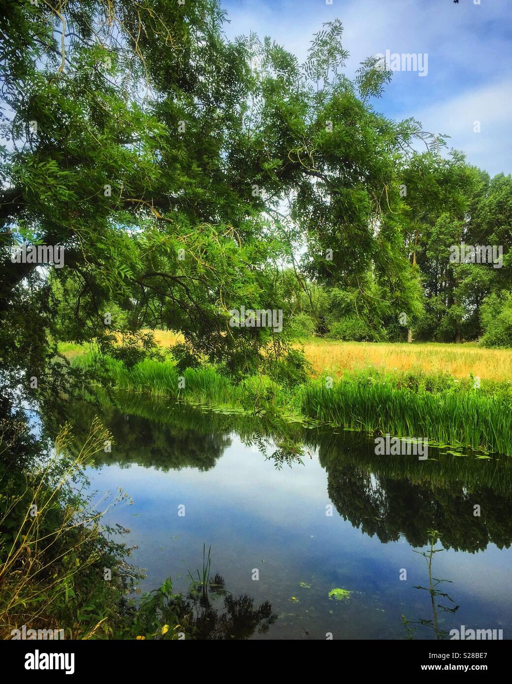 Alwalton hi-res stock photography and images - Alamy