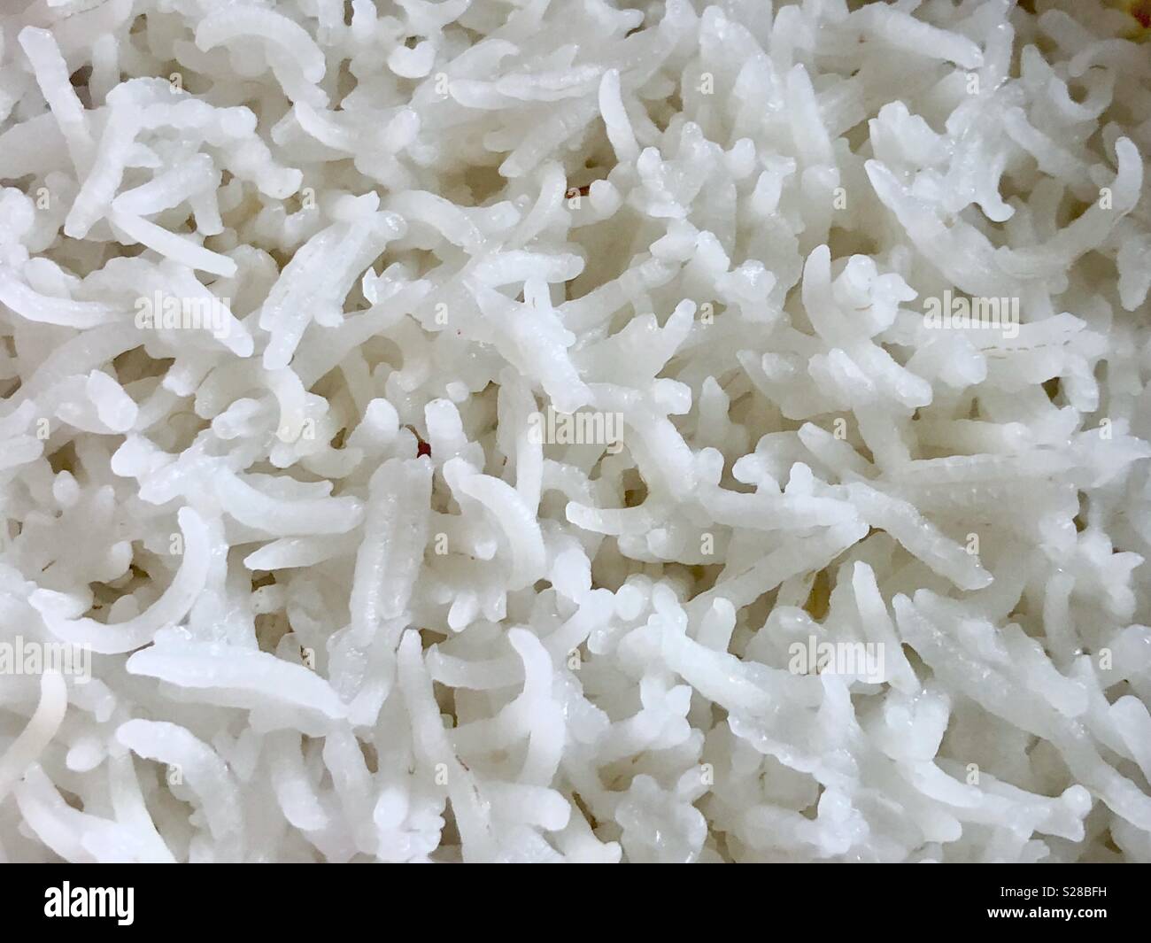 Plain cooked basmati white rice Stock Photo - Alamy