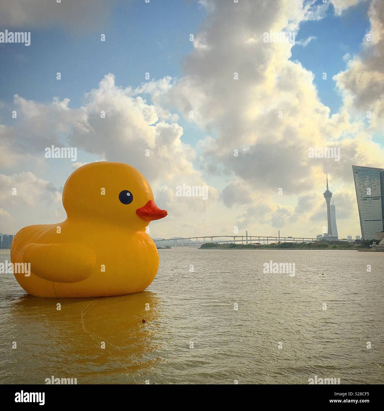 Giant duck floating in Macau Stock Photo - Alamy