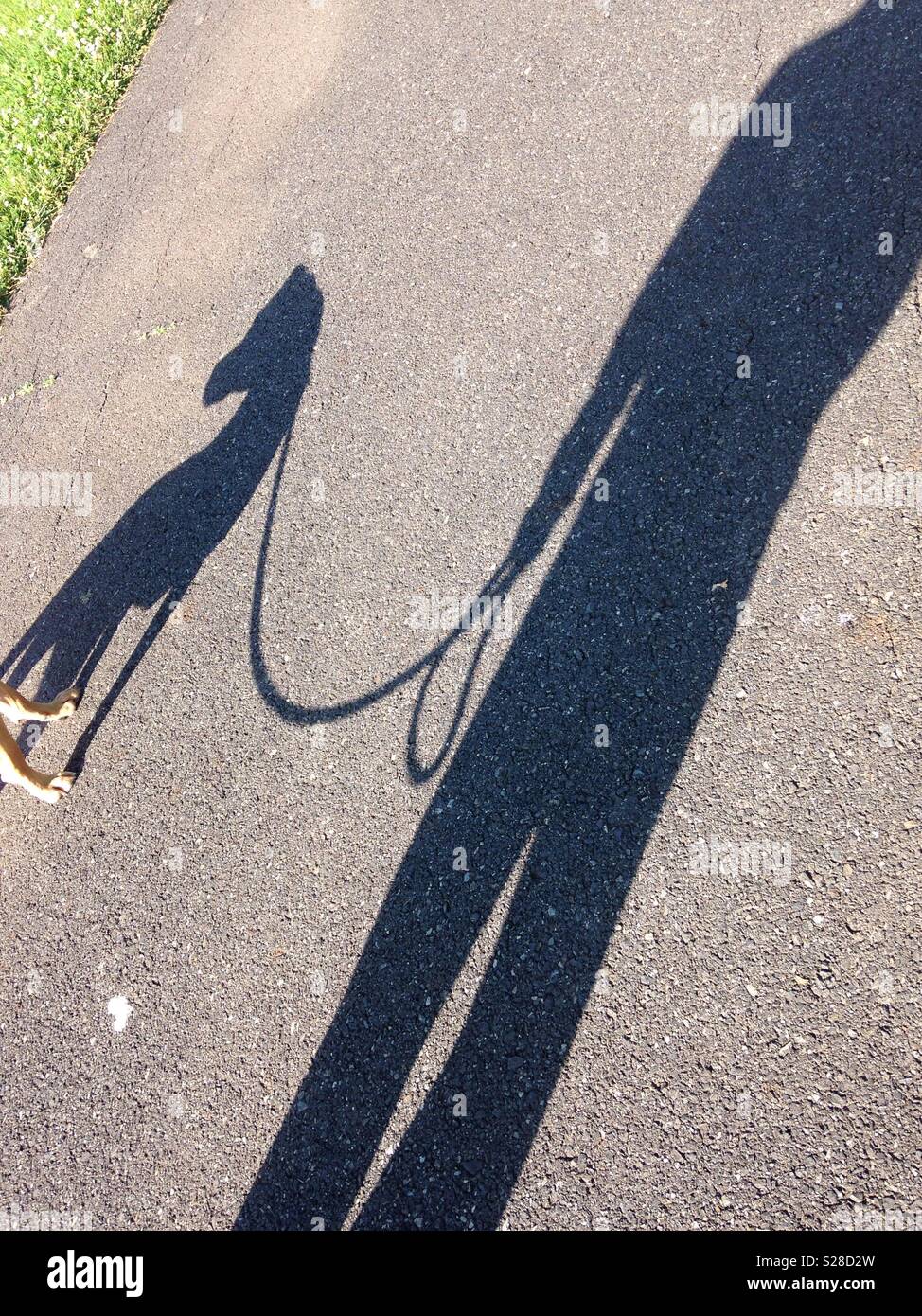 Boy and dog shadow hi-res stock photography and images - Alamy