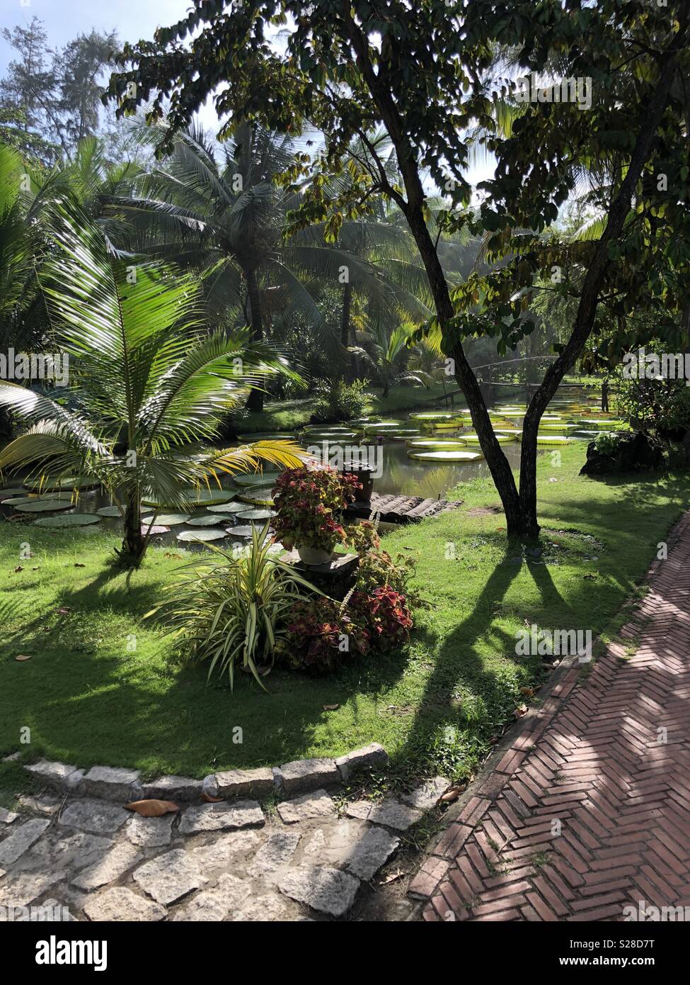 Saigon trees hi-res stock photography and images - Alamy