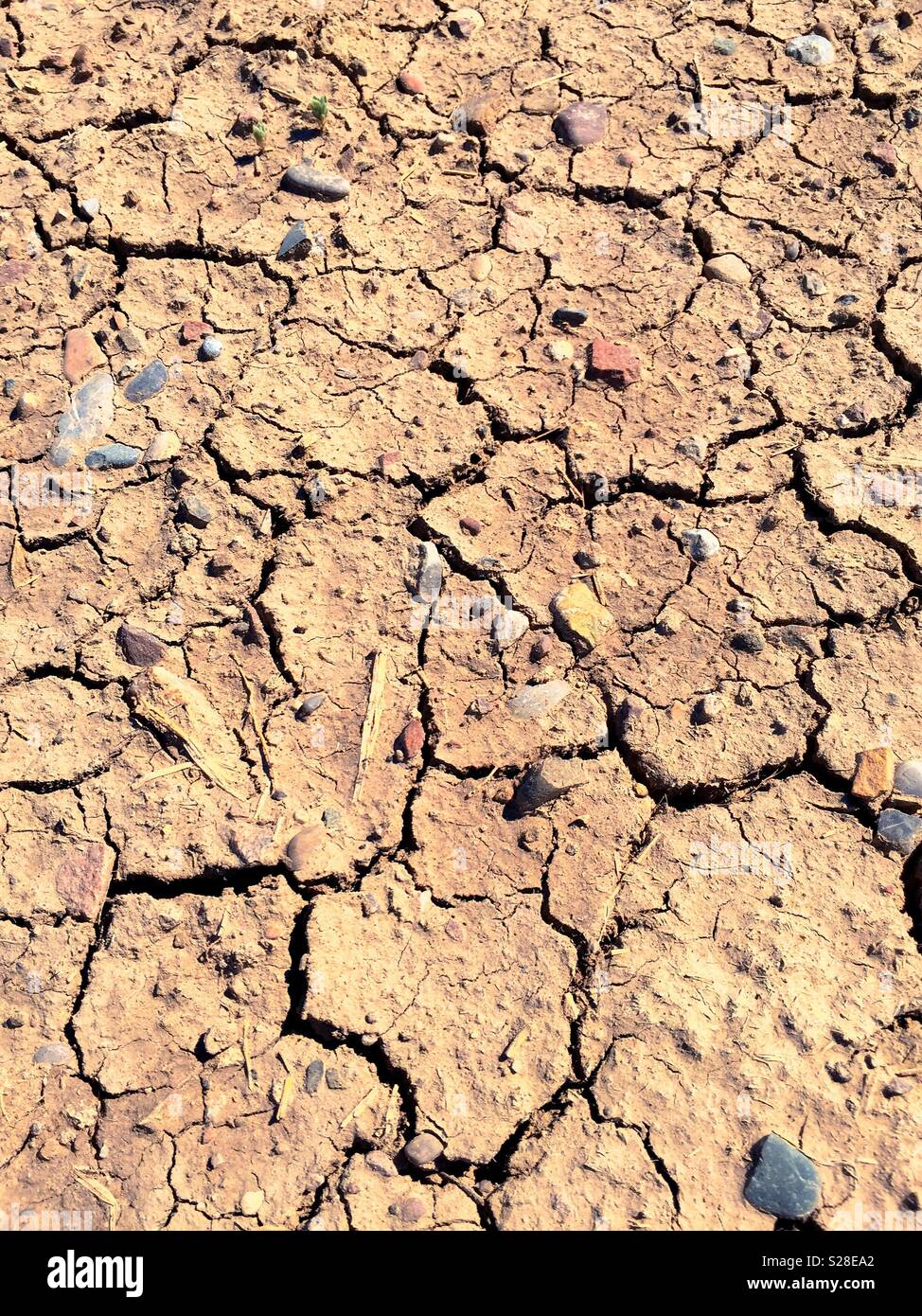 Dry ground Close up, USA Stock Photo - Alamy