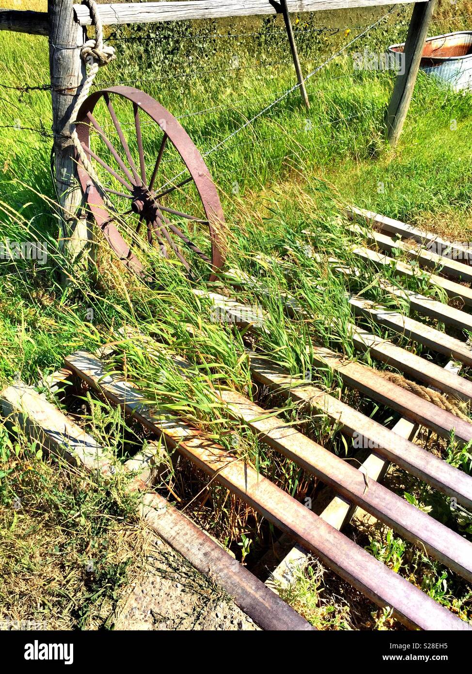 Cattleguard hi-res stock photography and images - Alamy