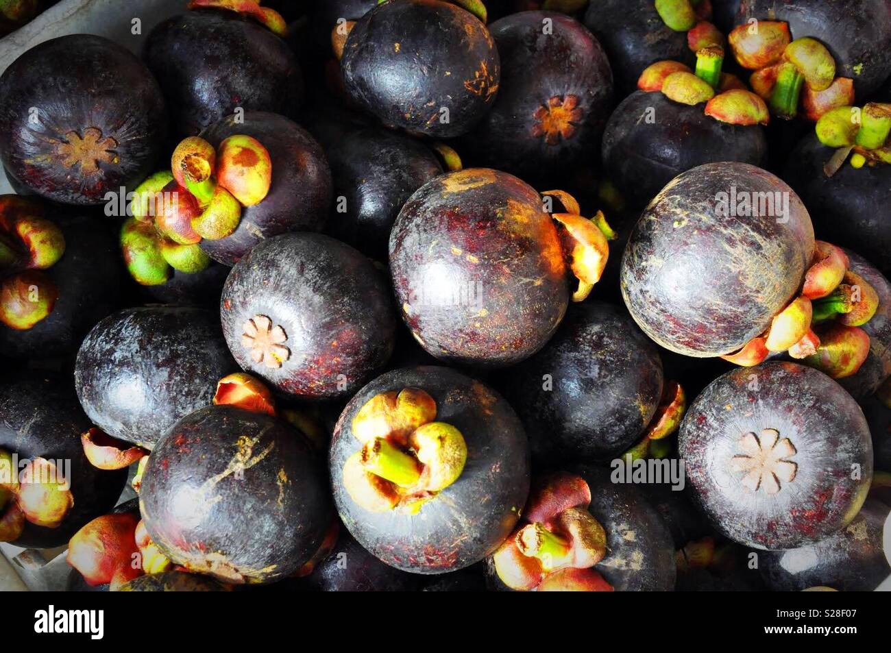 Mangotin hi-res stock photography and images - Alamy
