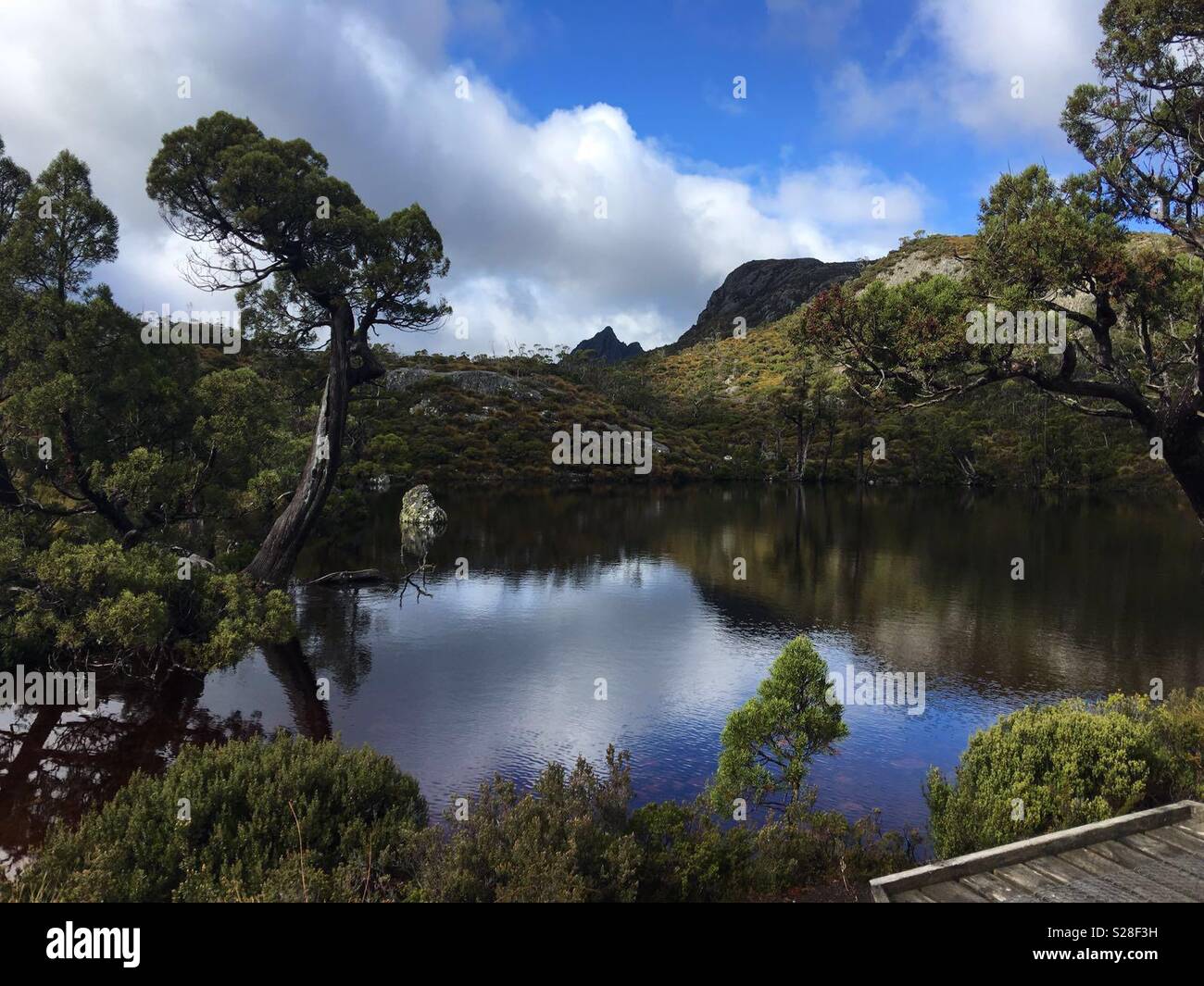 Bushwalking in Tasmania Stock Photo - Alamy