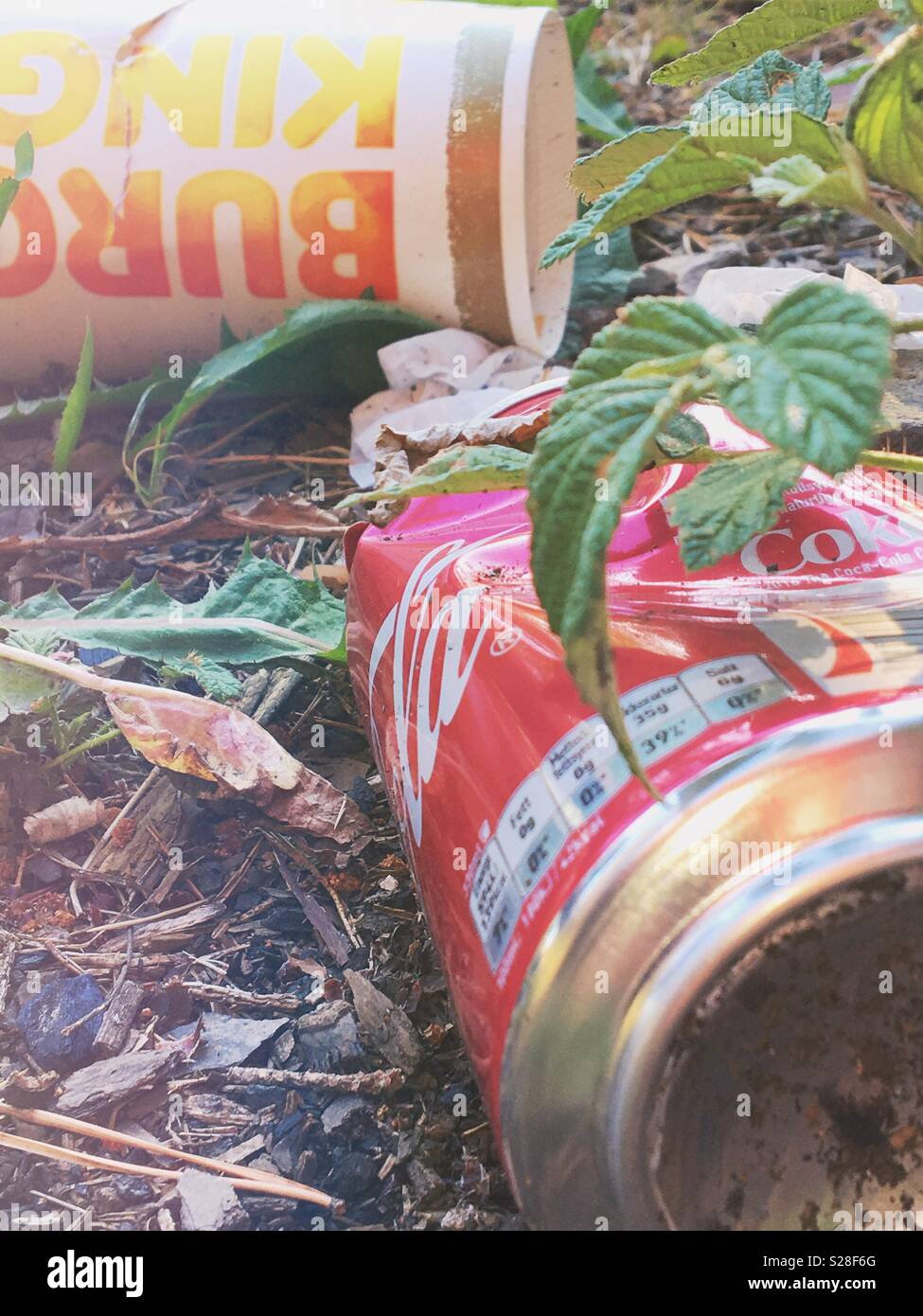 Litter in nature hi-res stock photography and images - Alamy