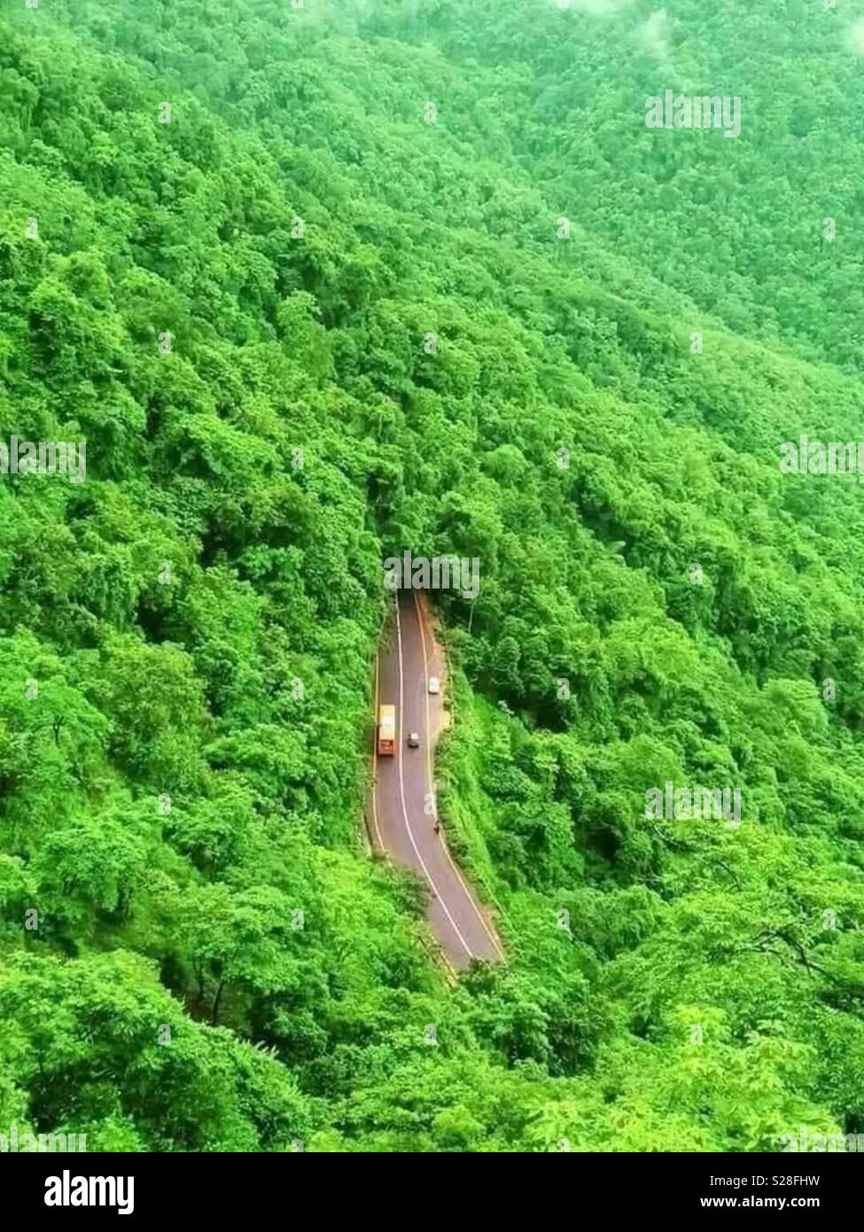 garden and road cars buss and tree color is green Stock Photo - Alamy