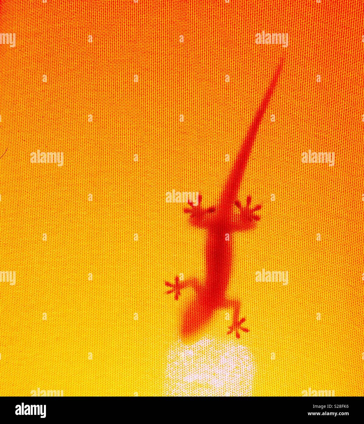 Lizard light hi-res stock photography and images - Alamy