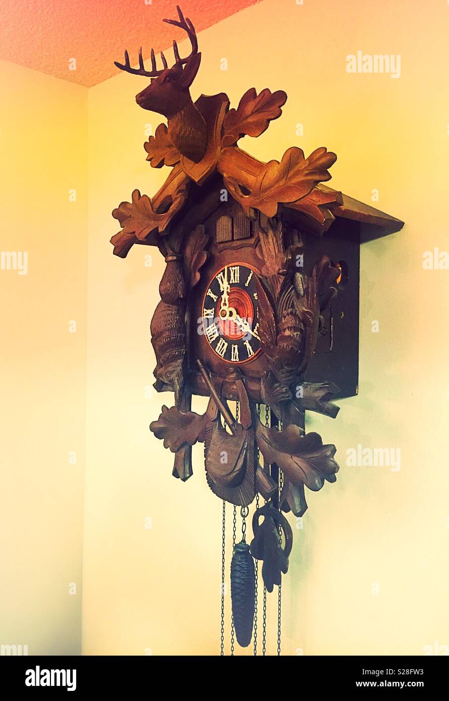 Animal cuckoo clock hi-res stock photography and images - Alamy