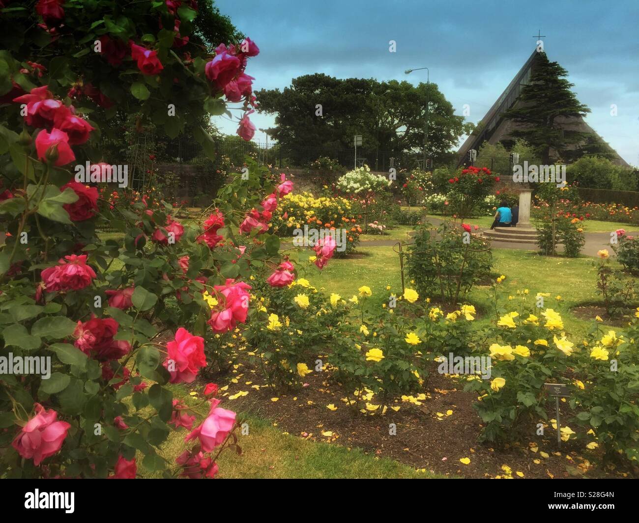 The rose garden in the National Botanic Gardens in Dublin,Ireland Stock ...