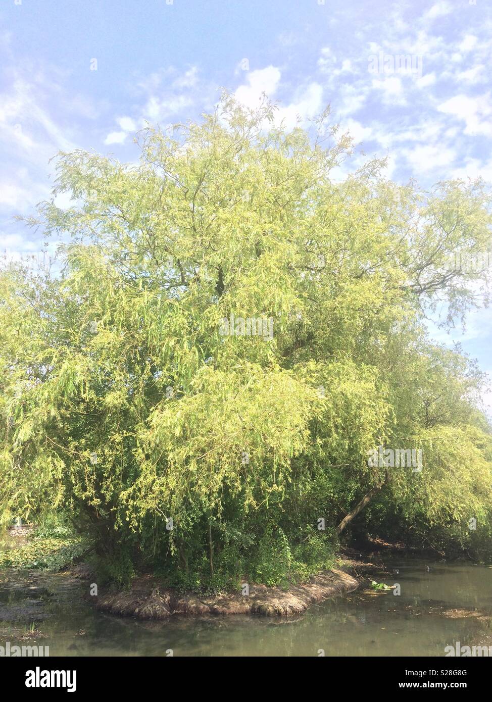 Willow Island High Resolution Stock Photography and Images - Alamy