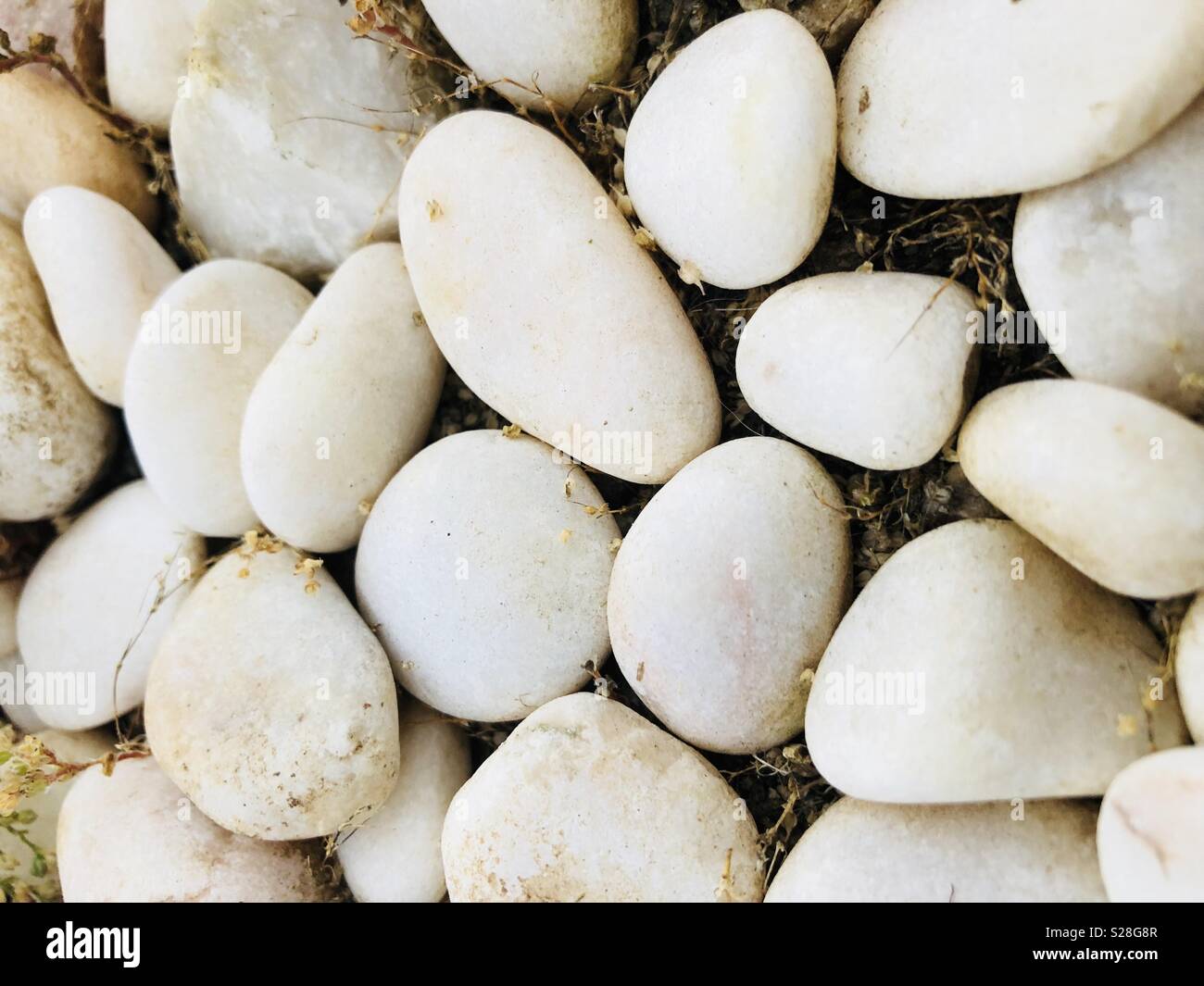 White pebbles hi-res stock photography and images - Alamy
