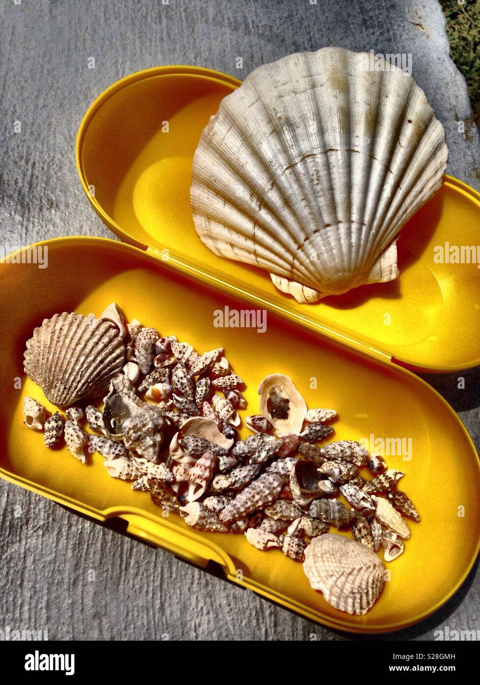 Collectiom hi-res stock photography and images - Alamy