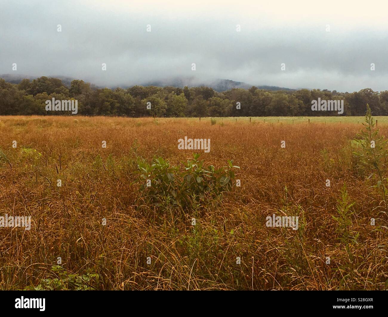 Field in fall Stock Photo - Alamy