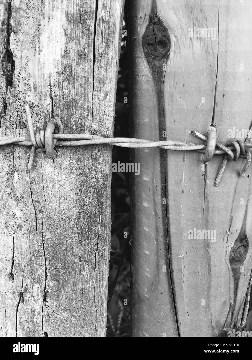 Barbed wire knot hi-res stock photography and images - Alamy