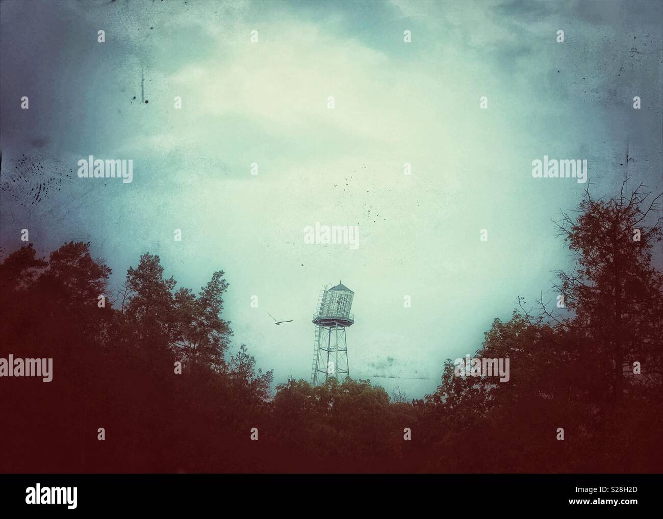 Orono hi-res stock photography and images - Alamy