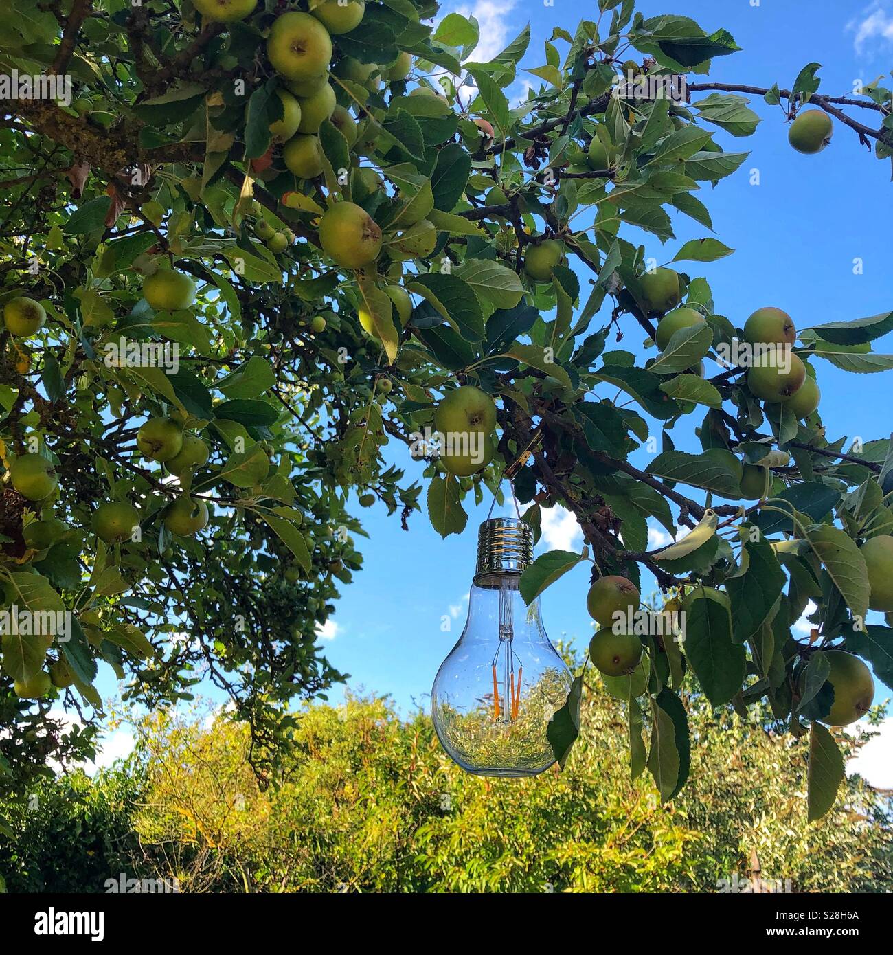 Solar light hi-res stock photography and images - Alamy