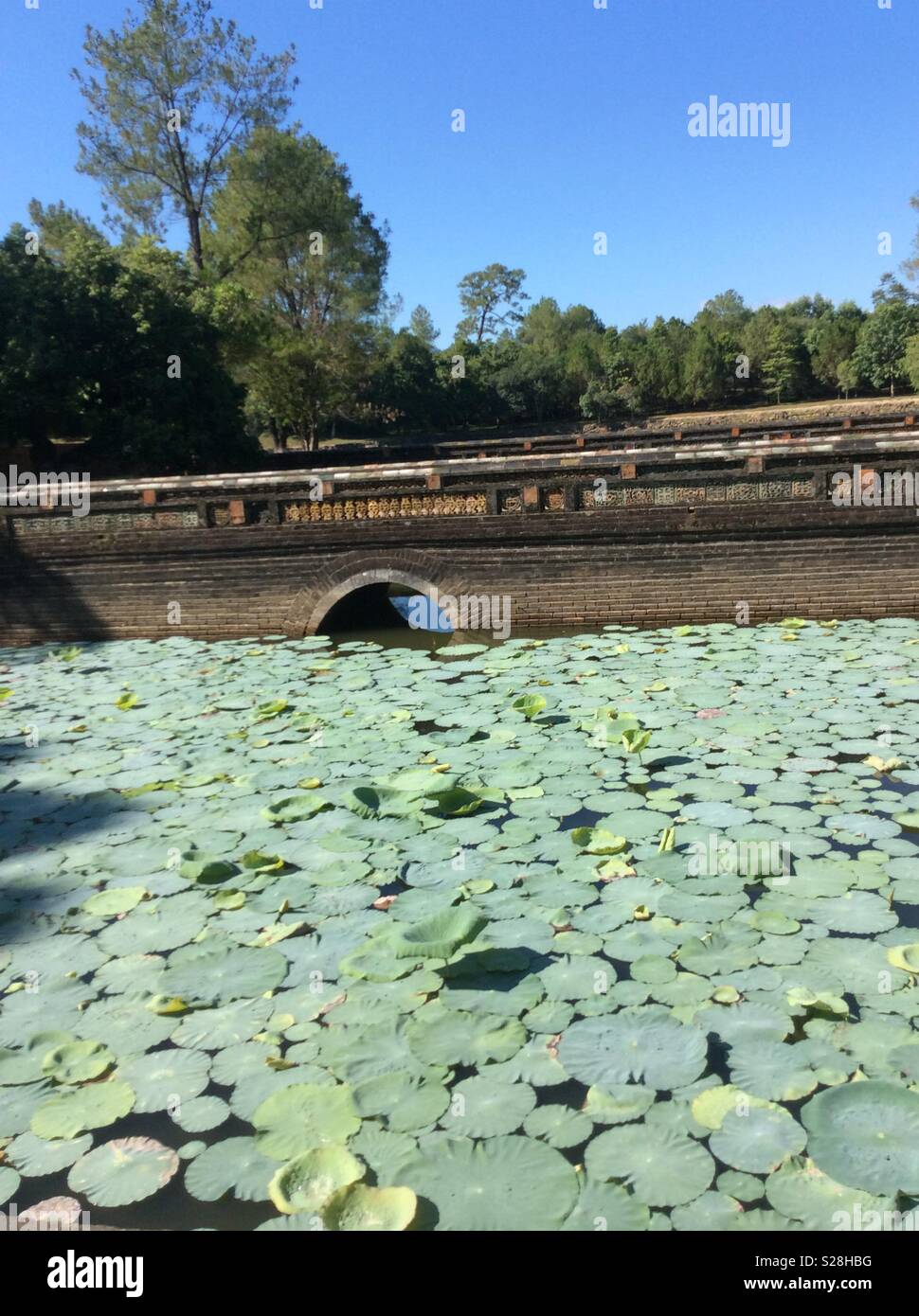 Bridge over lily pads Stock Photo - Alamy