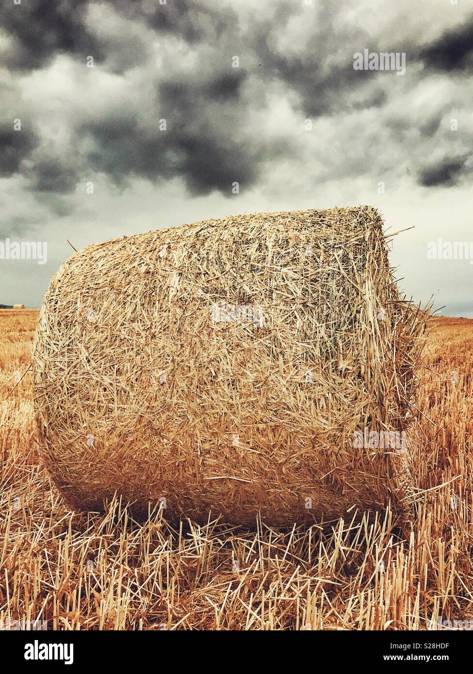 A hay bale Stock Photo - Alamy