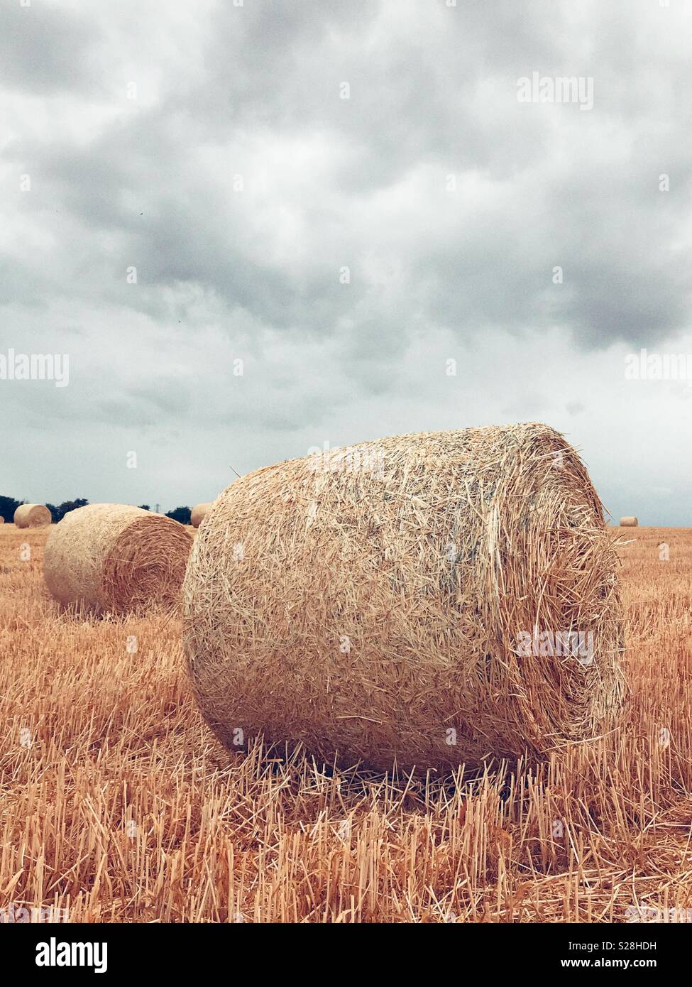 Round cylindrical farm agriculture hi-res stock photography and images ...