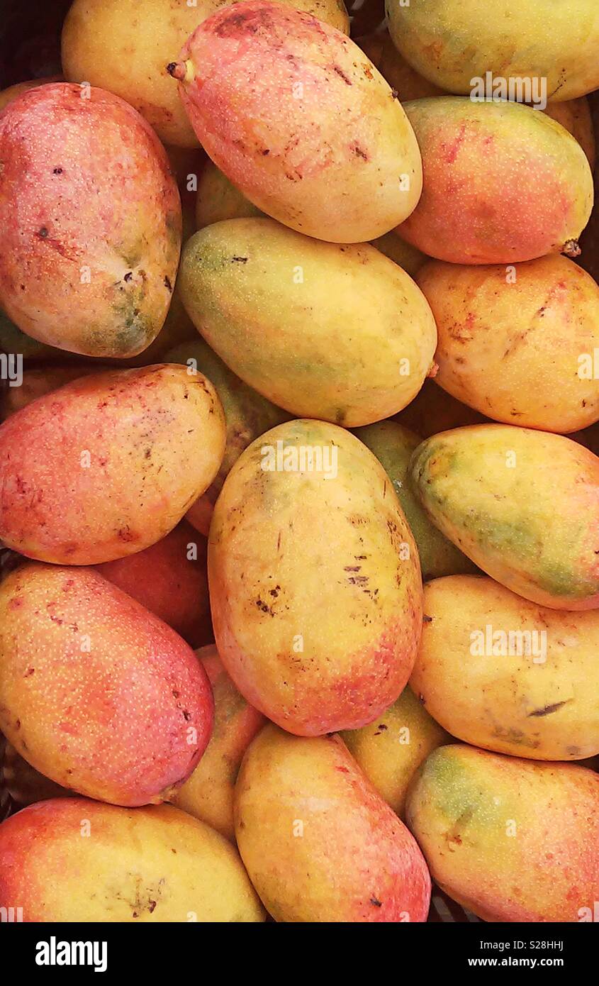 Ripped mangoes hi-res stock photography and images - Alamy