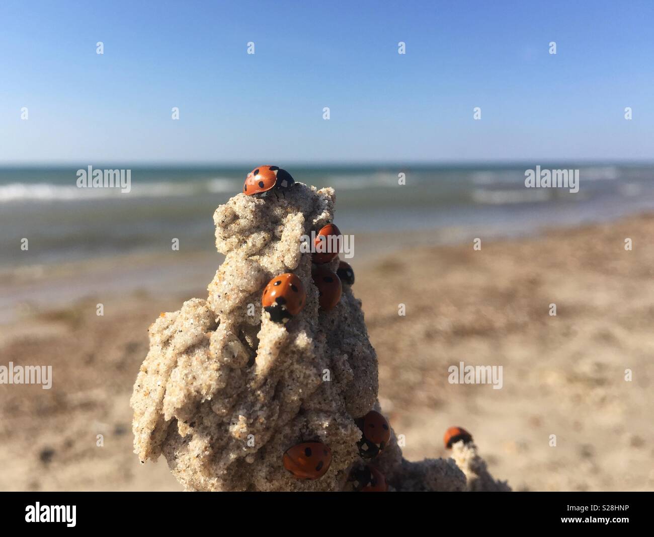 Dots on beach hi-res stock photography and images - Alamy