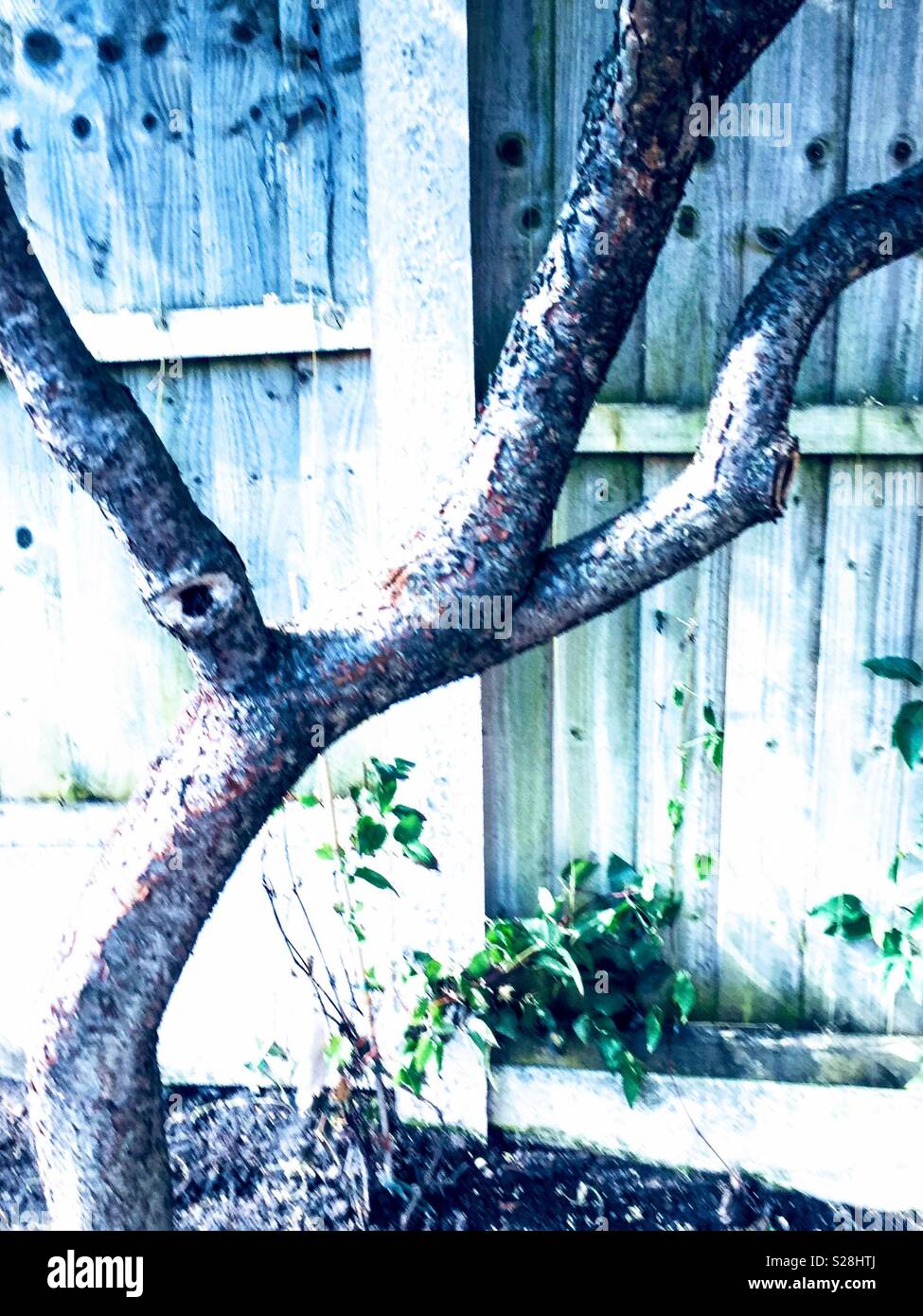 Bark fence hi-res stock photography and images - Alamy