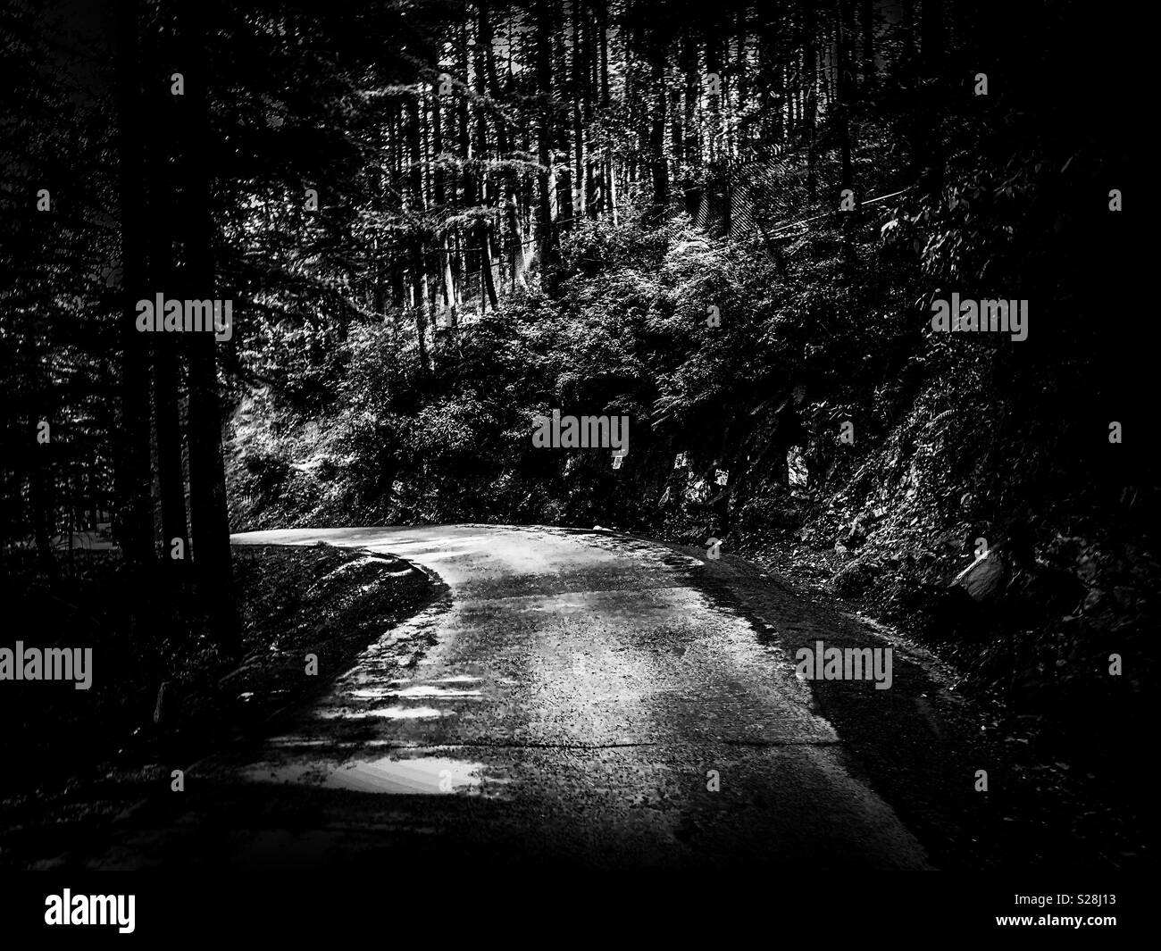 Dawn shadow shadow road dark hi-res stock photography and images - Alamy
