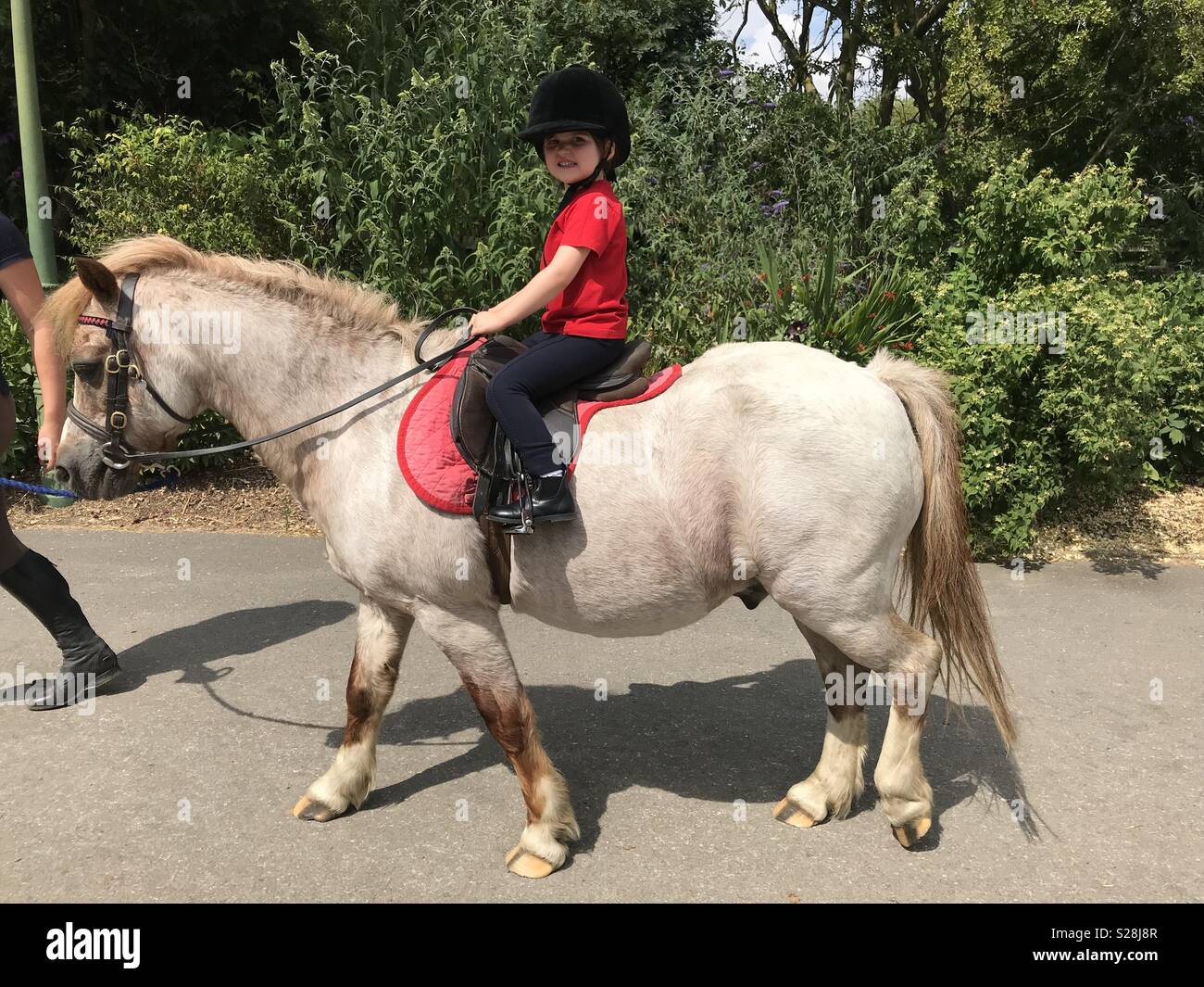 Riding a small pony hi-res stock photography and images - Alamy