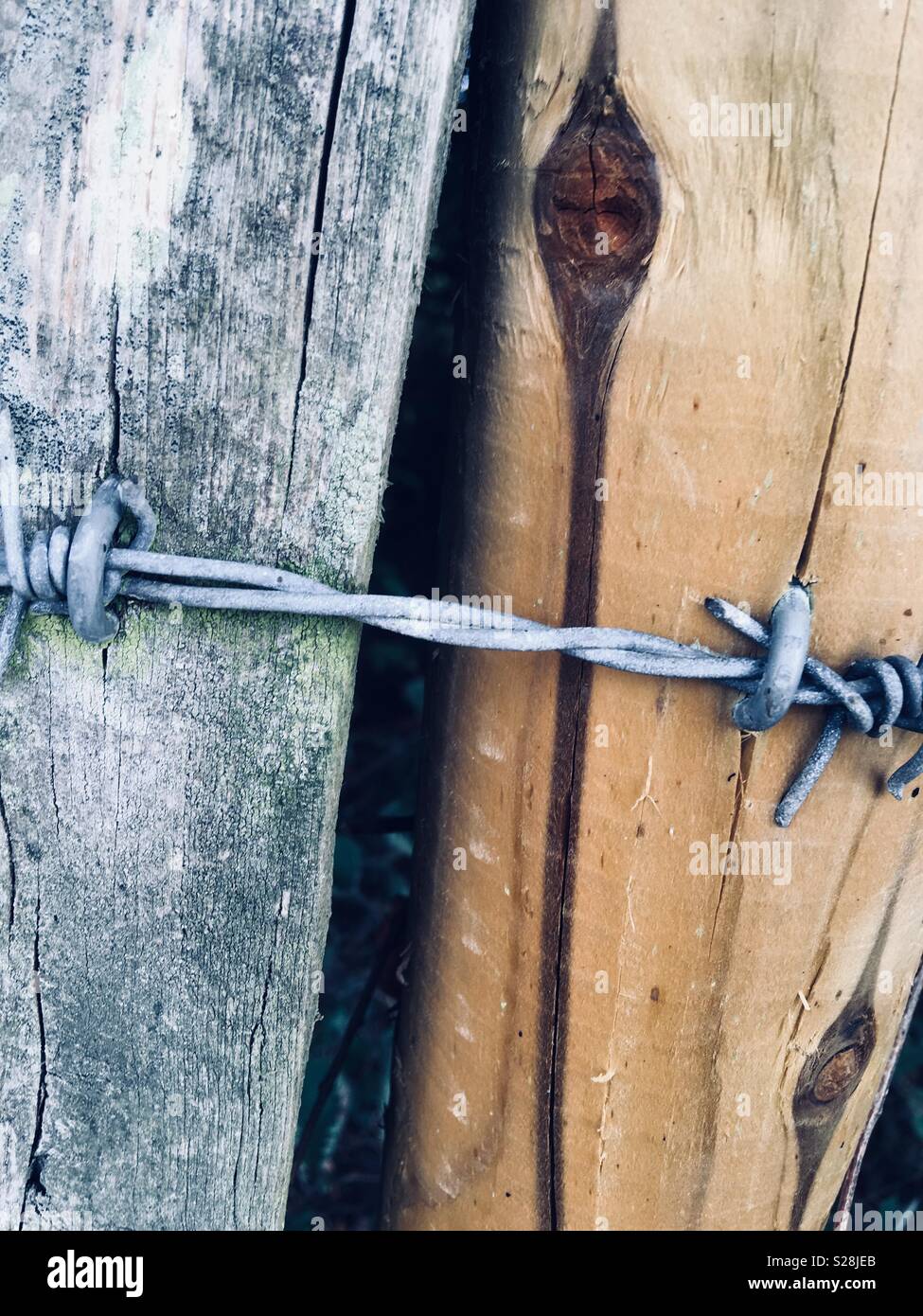 Barbed wire knot hi-res stock photography and images - Alamy