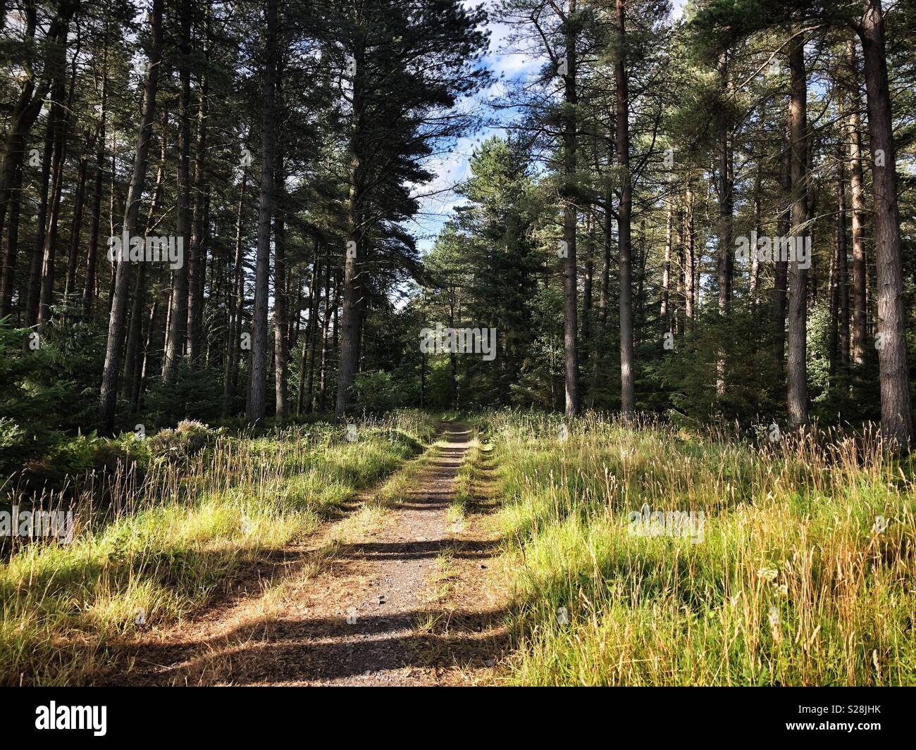 Countryside walks hi-res stock photography and images - Alamy