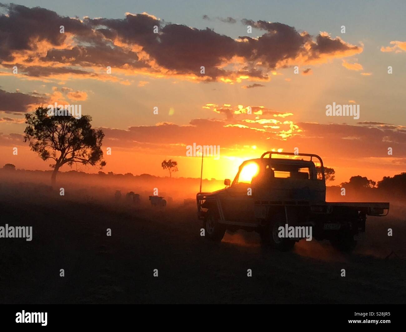 Toyota ute hi-res stock photography and images - Alamy