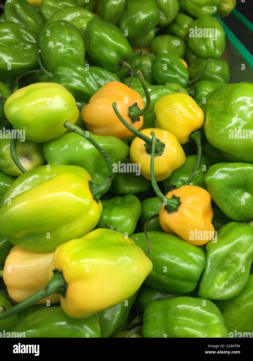 Food of chile hi-res stock photography and images - Alamy