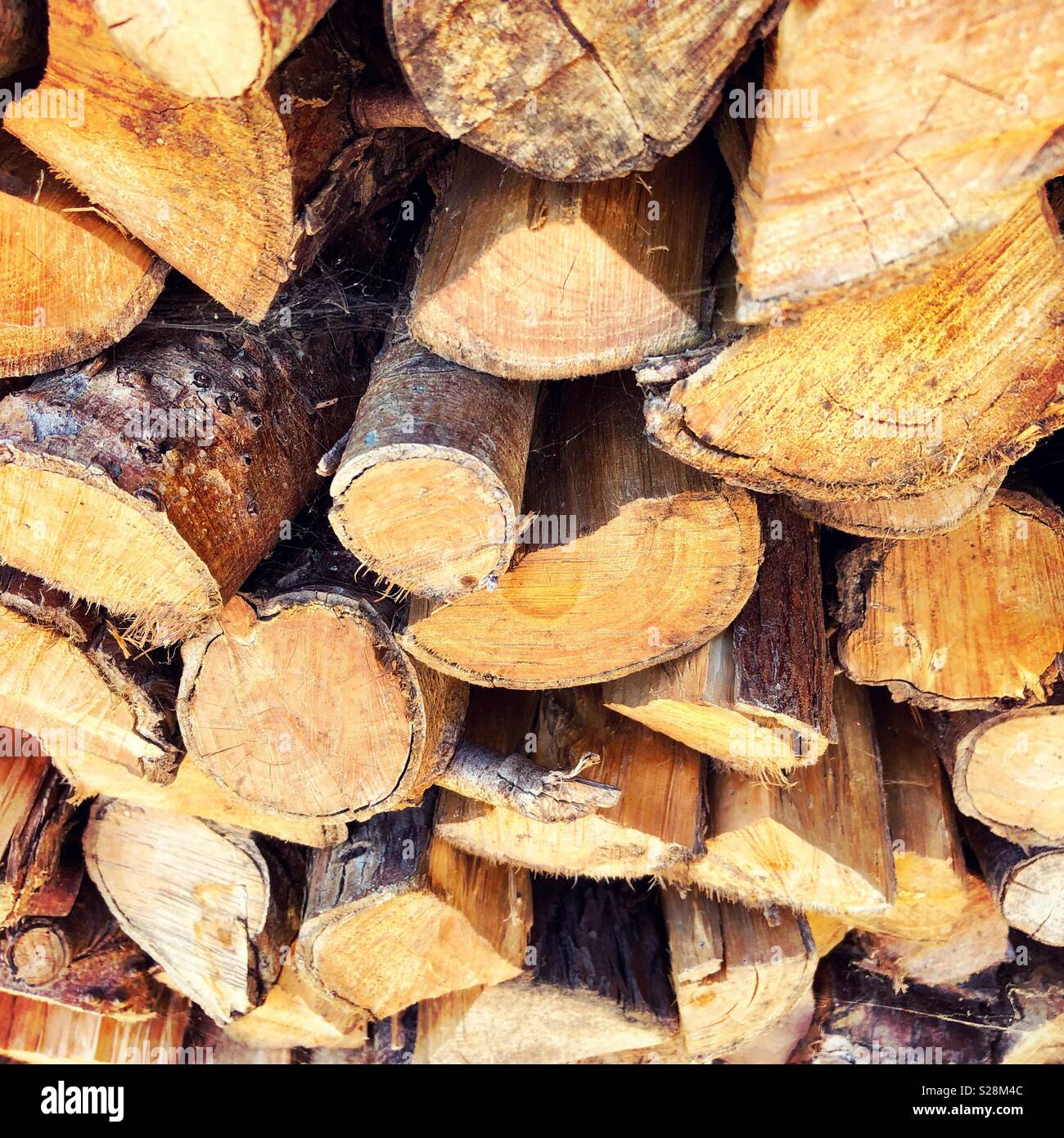 Stacked Logged Wood High Resolution Stock Photography and Images - Alamy