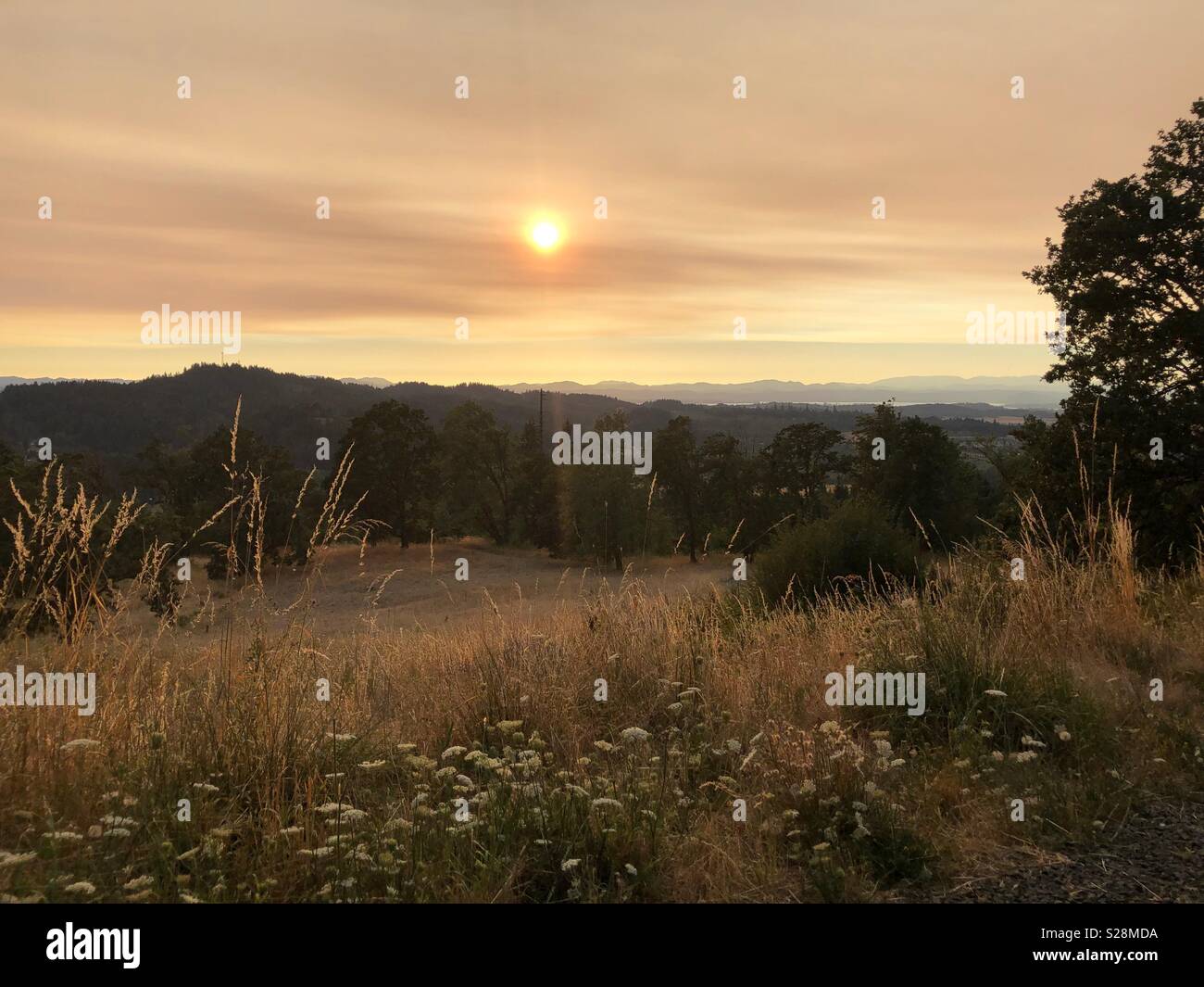 Smoky skies from distant wildfires, in Eugene, Oregon, USA Stock Photo ...