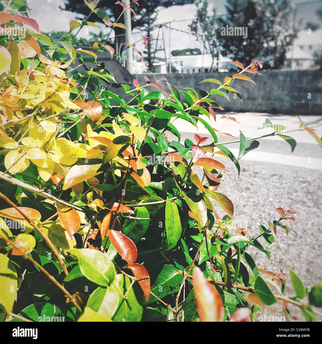 Nature capture hi-res stock photography and images - Alamy