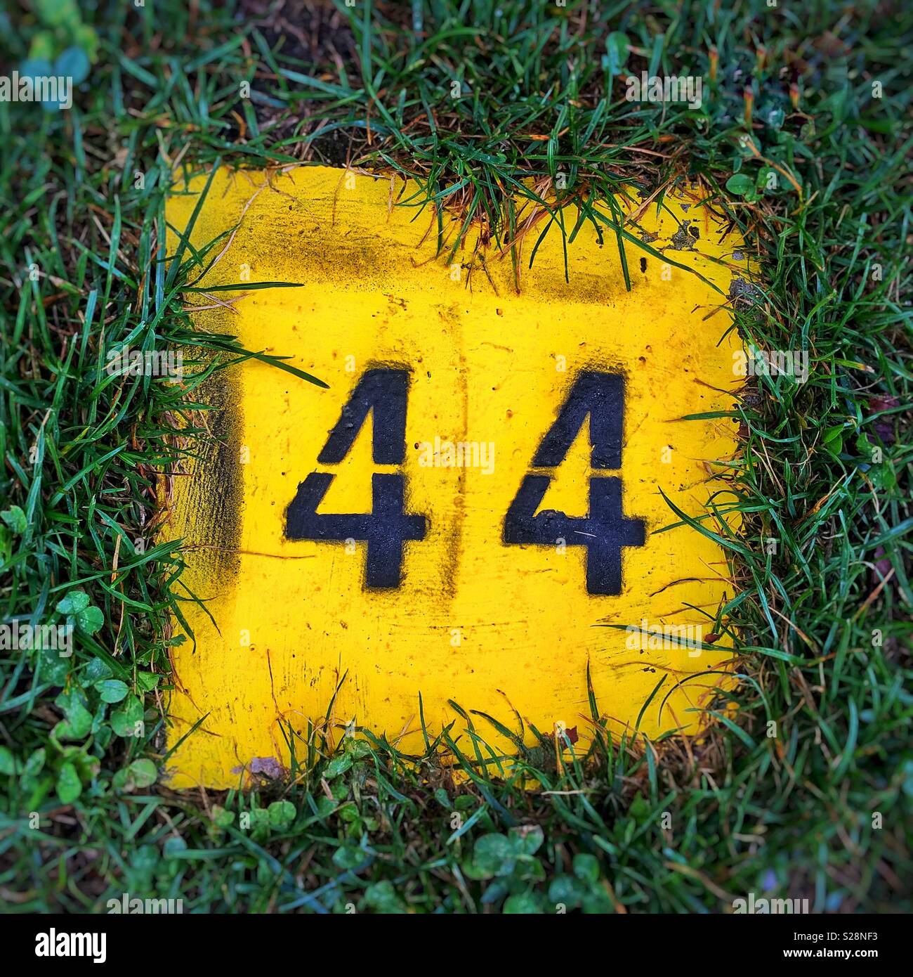 Number numbers 44 hi-res stock photography and images - Alamy