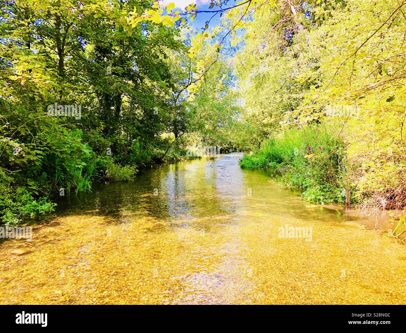Slow moving river Stock Photo - Alamy