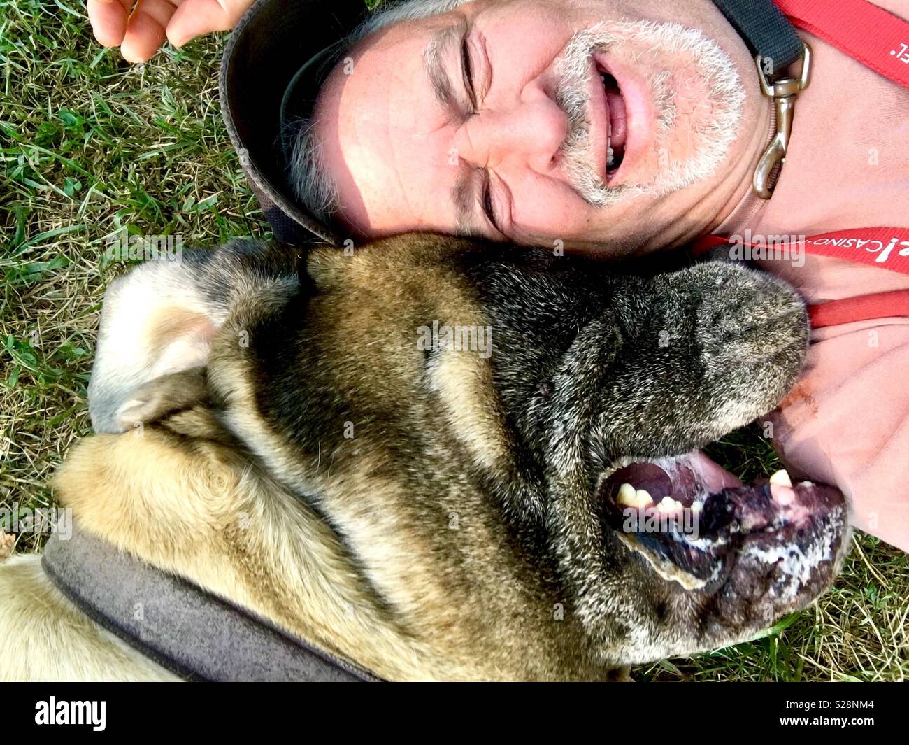 Dog and dad hi-res stock photography and images - Alamy