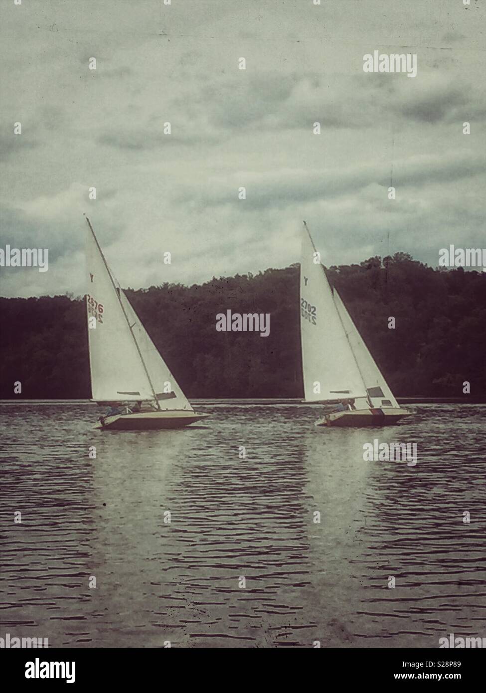 Two sailboats in a lake Stock Photo - Alamy
