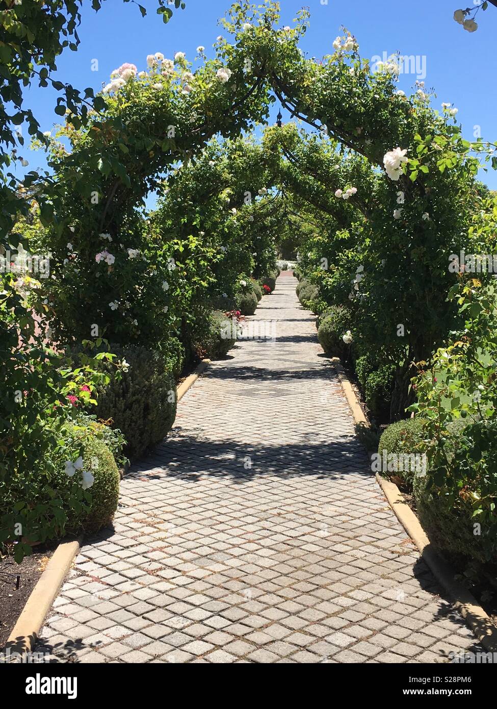 Garden arbour walk Stock Photo - Alamy