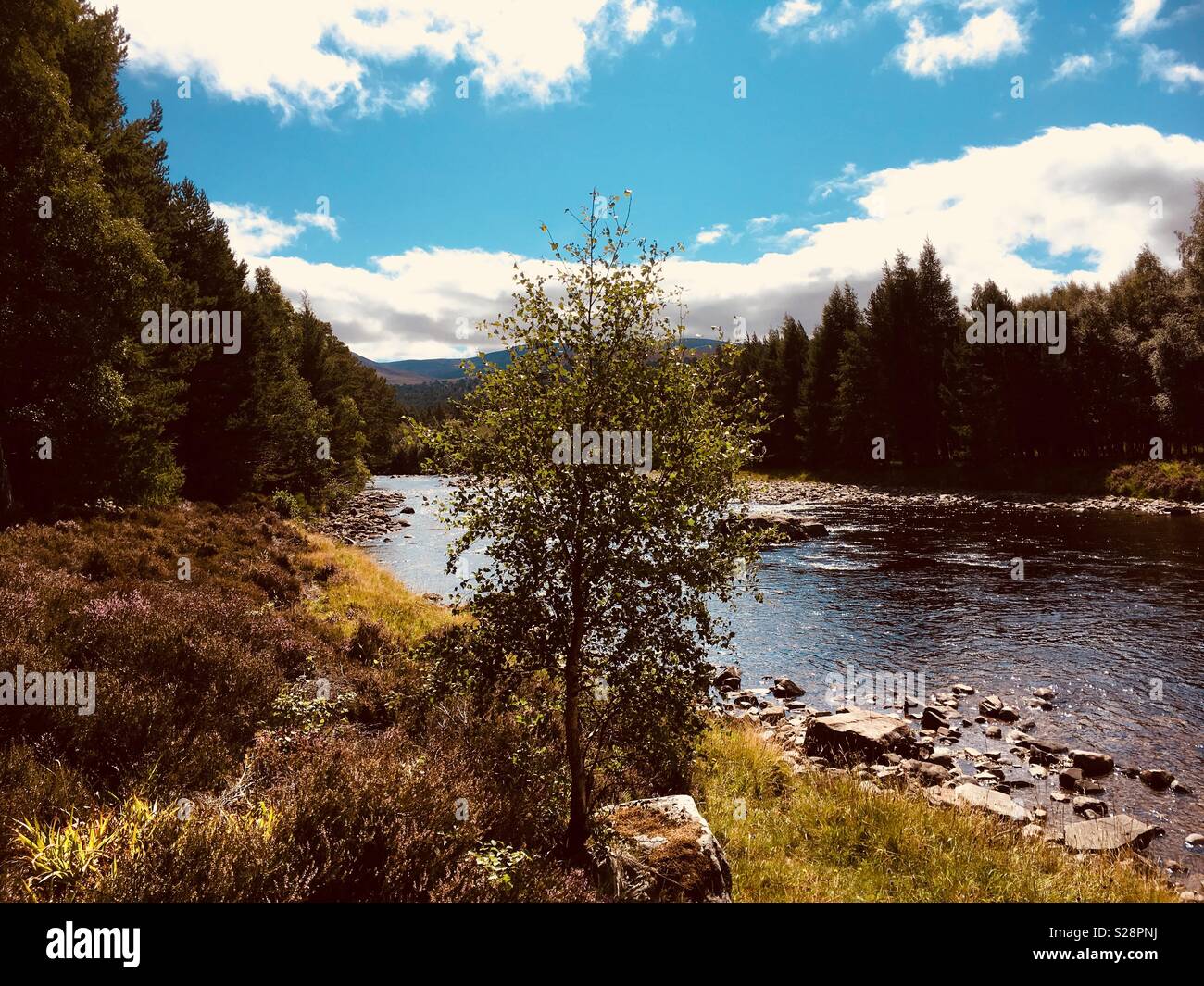 Invercauld hi-res stock photography and images - Alamy