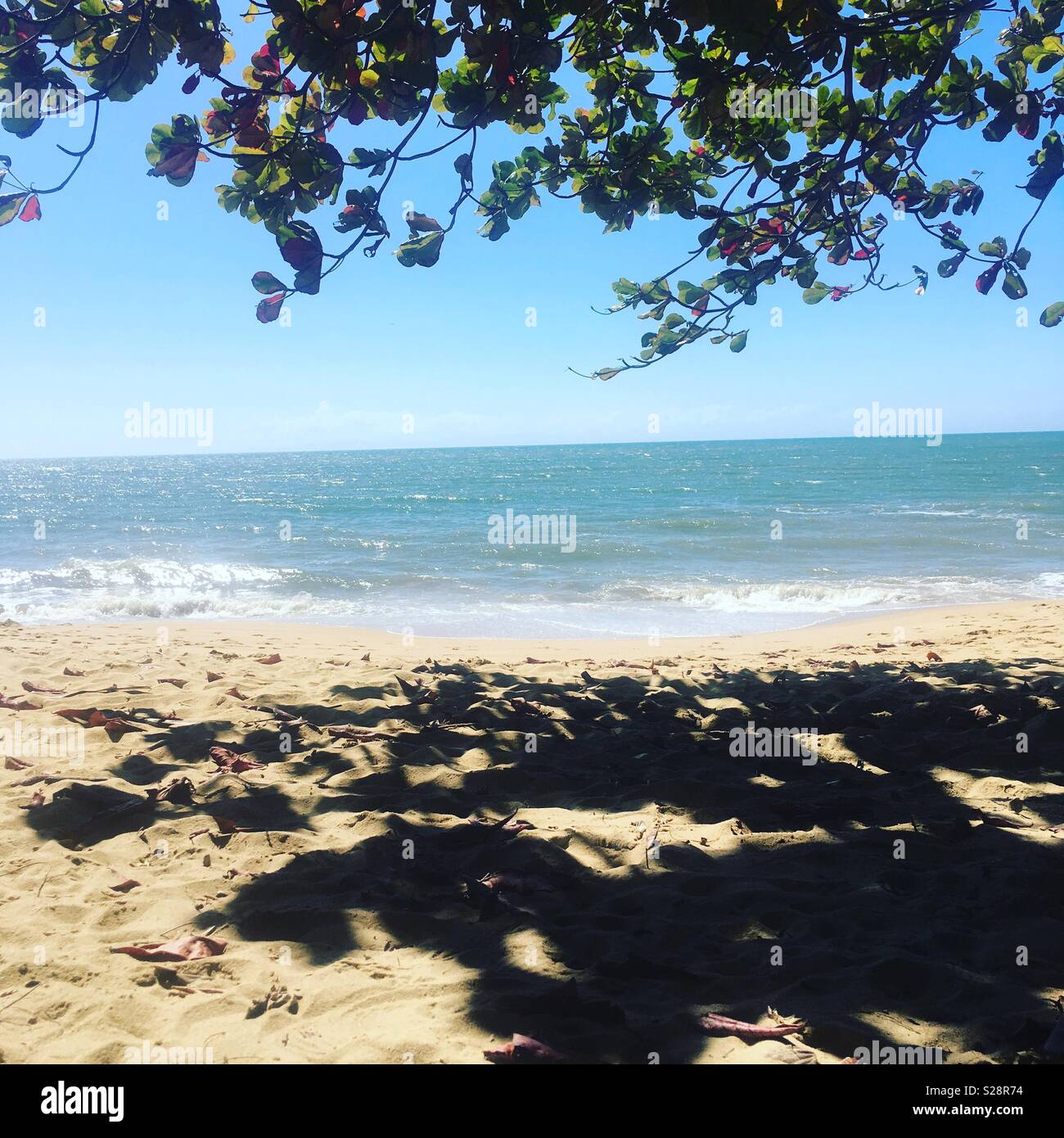 Cairns, australia hi-res stock photography and images - Alamy