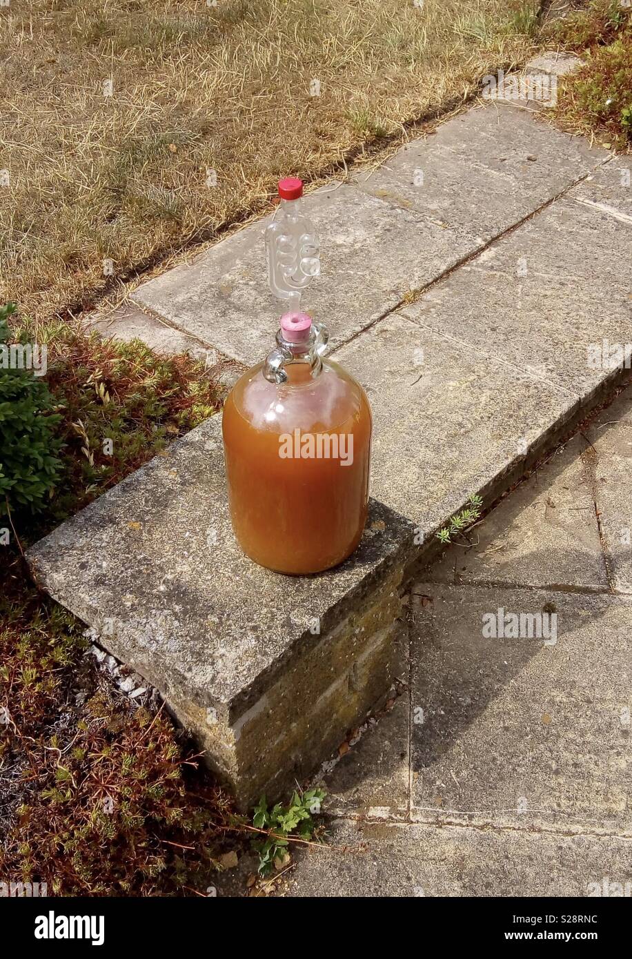 Fermenting hi-res stock photography and images - Alamy