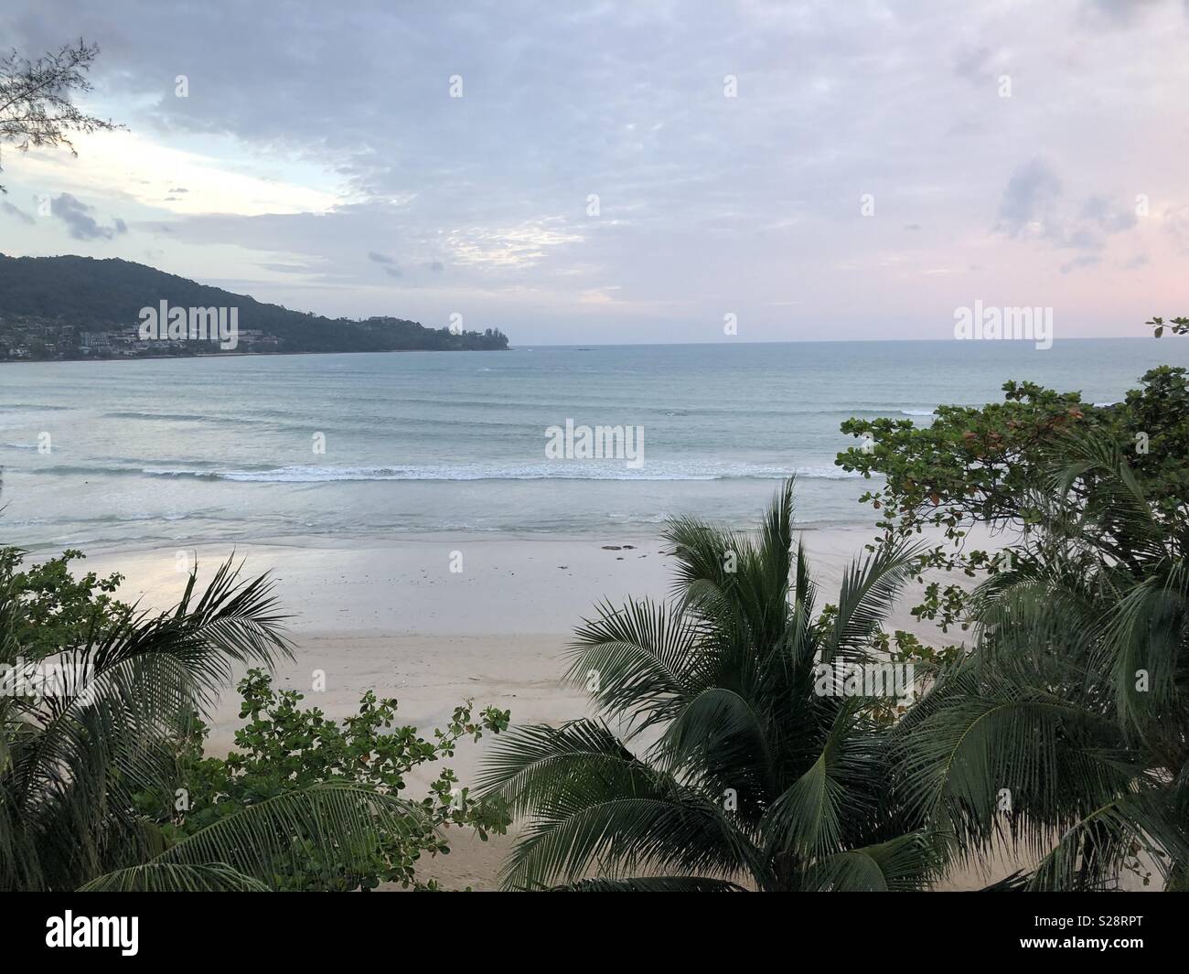 Calm beach with palms Stock Photo - Alamy