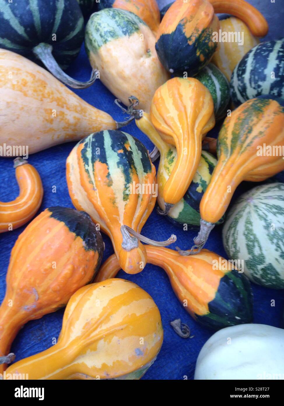 Flasks hi-res stock photography and images - Alamy Flasks hi-res stock photography and images - Alamy