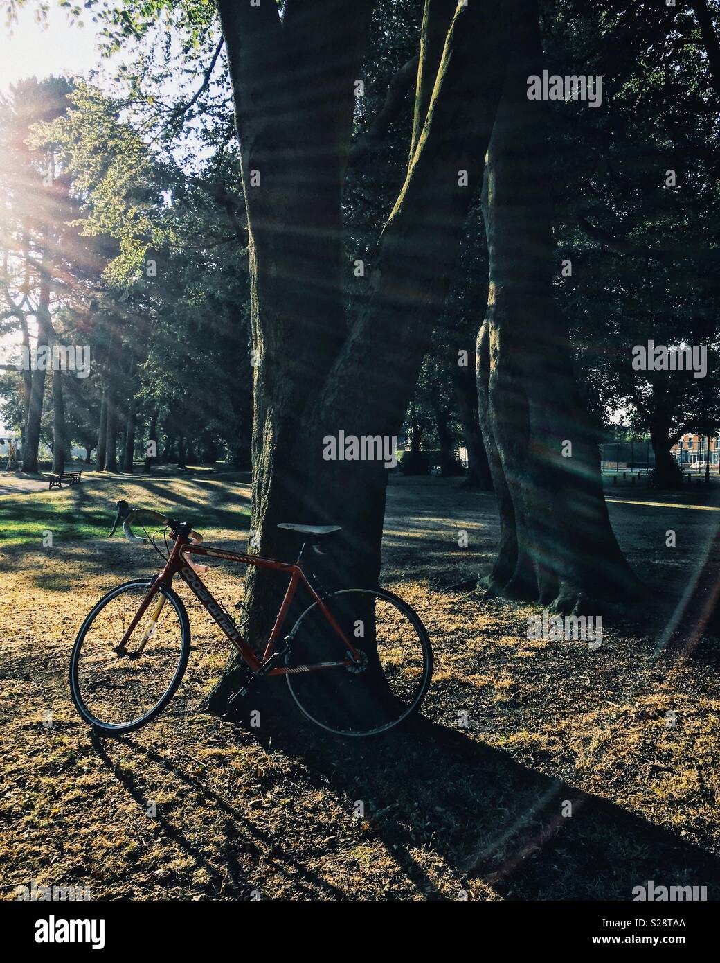Bicycle at the park hi-res stock photography and images - Alamy